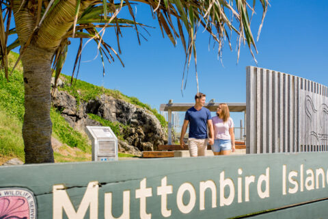 Explore Muttonbird Island – A Must-Visit on the Coffs Coast - Coffs ...