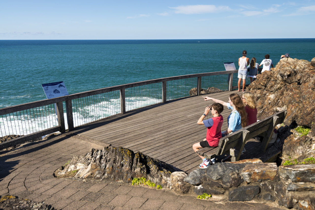 Explore Muttonbird Island – A Must-Visit on the Coffs Coast - Coffs ...